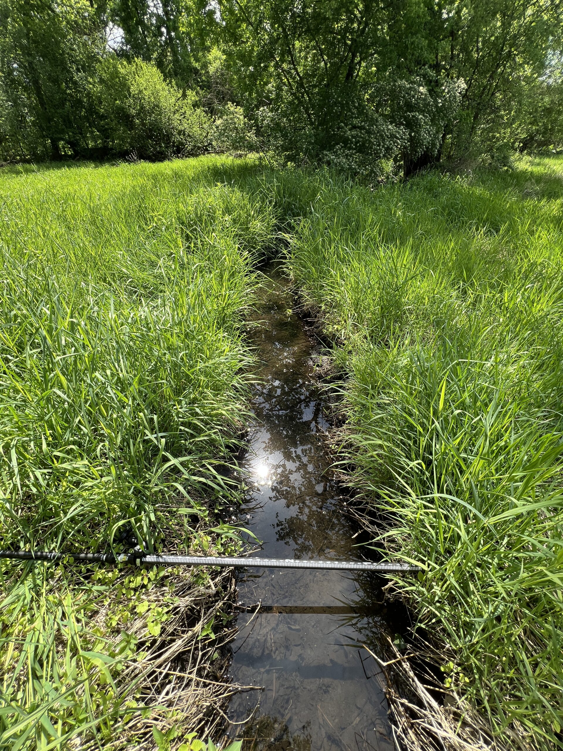 A Day in the Life of a Stream Ecologist • Midwest Wetland Improvements