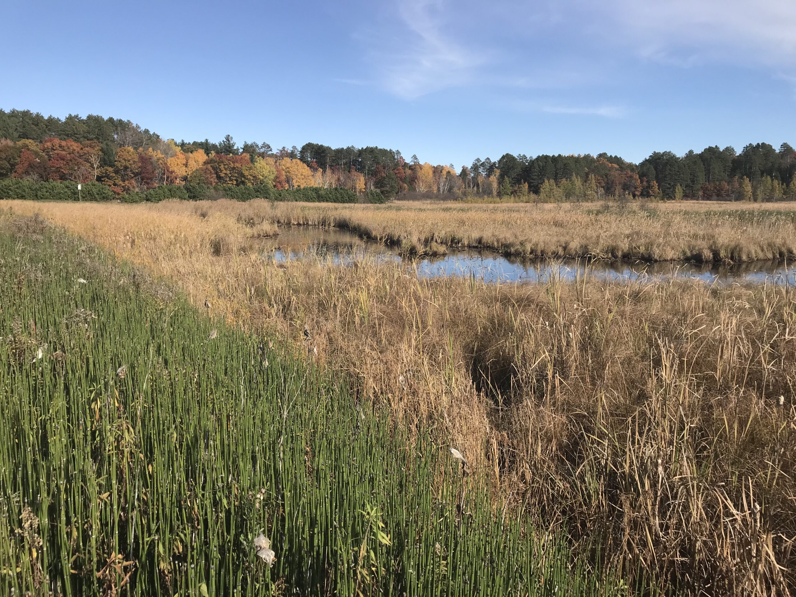 Don't Wait Until Spring: Why Fall is the Ideal Time for Wetland ...