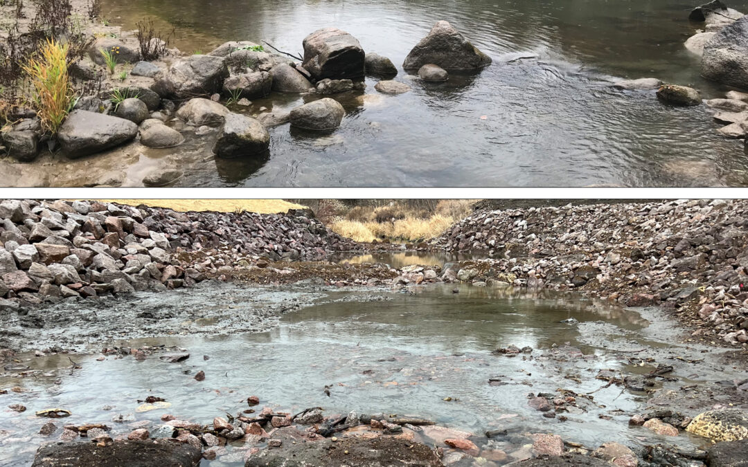 Dam Removal Guide: What Landowners and Communities Should Know Before ...