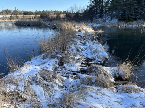 Dam Removal Guide: What Landowners and Communities Should Know Before ...